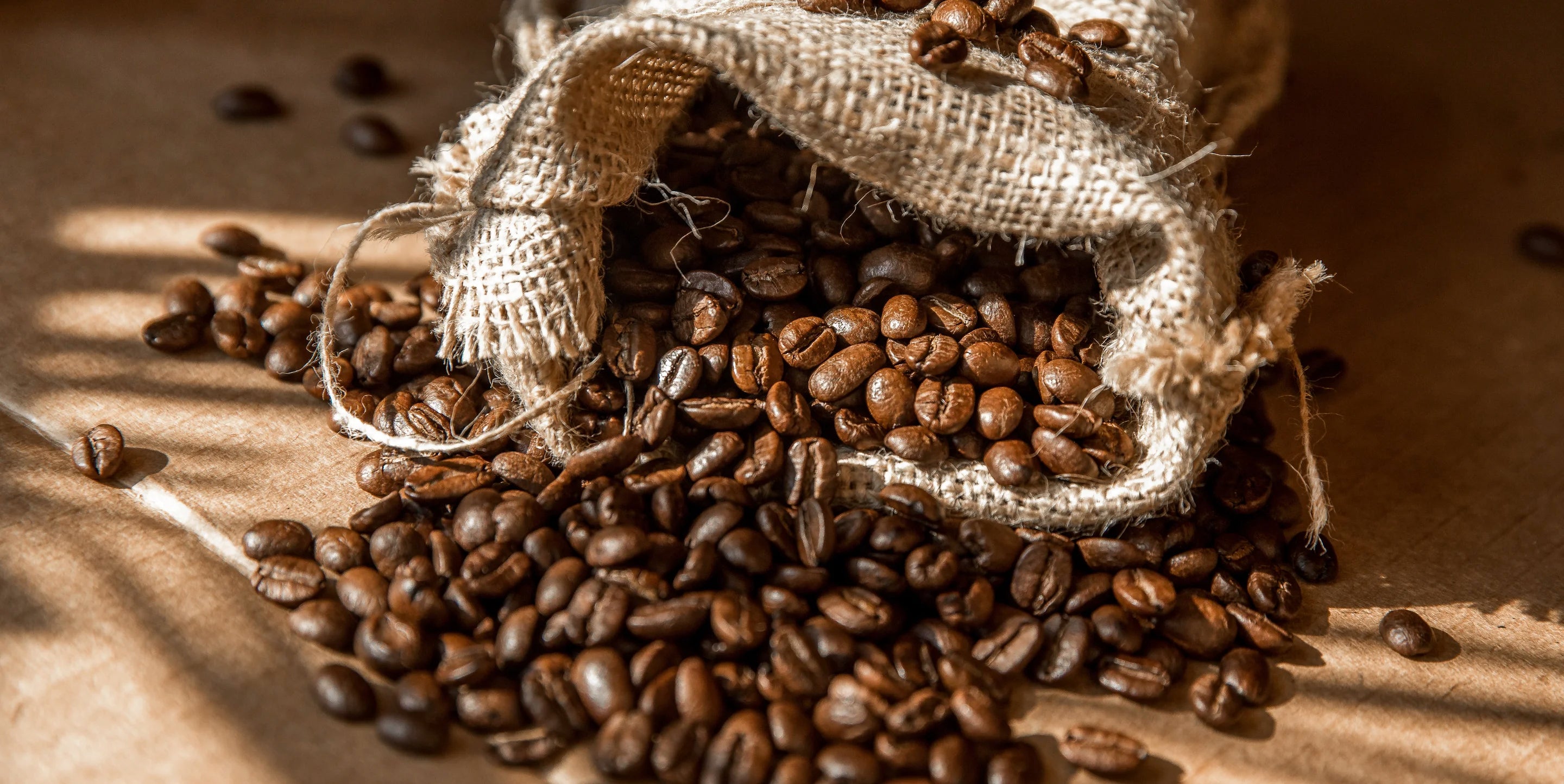 Los defectos del café y cómo identificarlos – Cafestes Gourmet